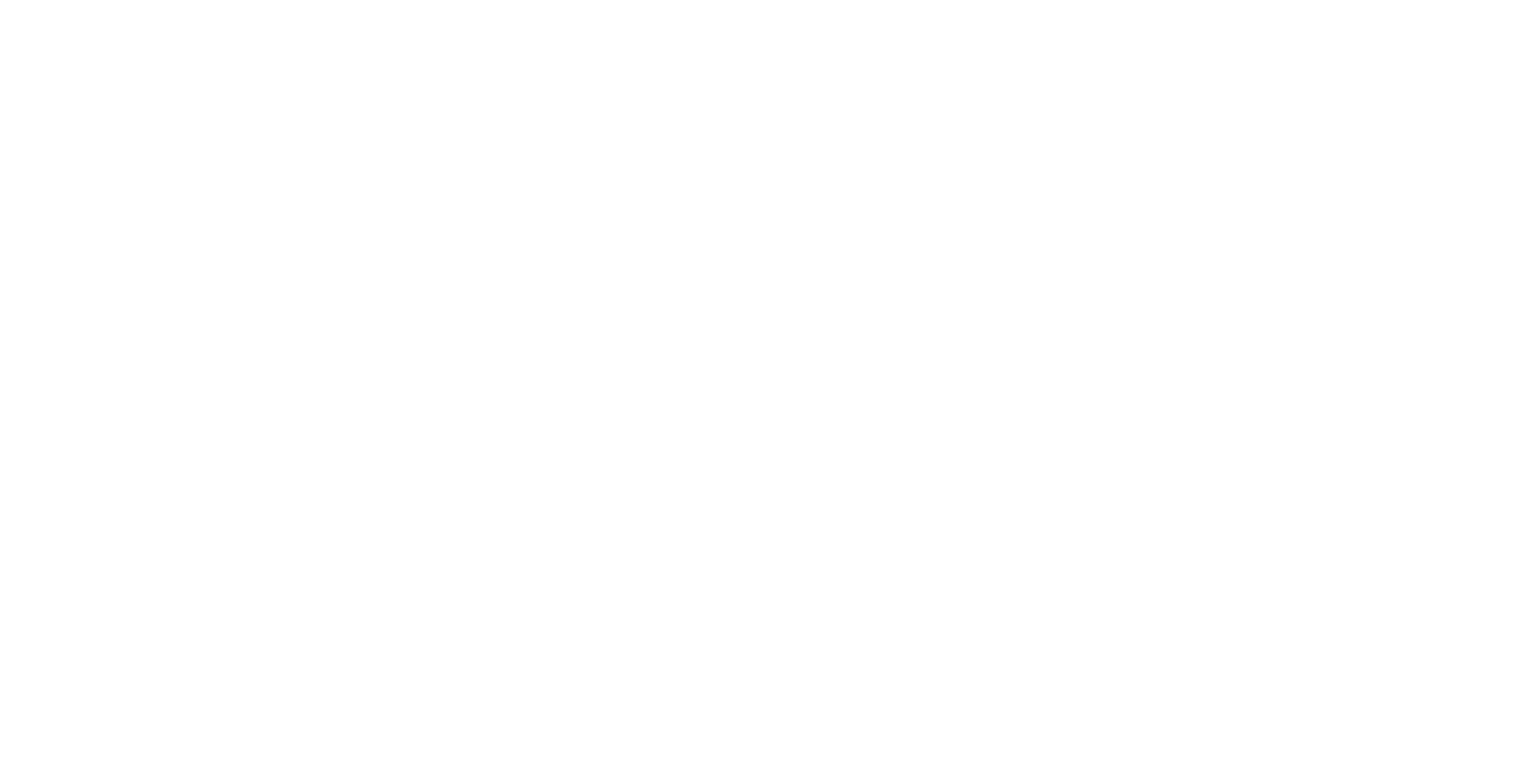 AutoNation Mobile Service